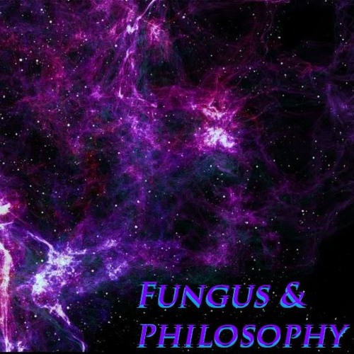 Stream The Callisto Effect by fungus and philosophy | Listen online for ...