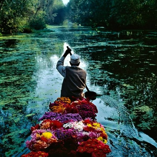 Stream En flod flyter / The river is flowing by Hélène Bohman Blomqvist ...