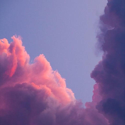 Stream lavender by echo renee | Listen online for free on SoundCloud