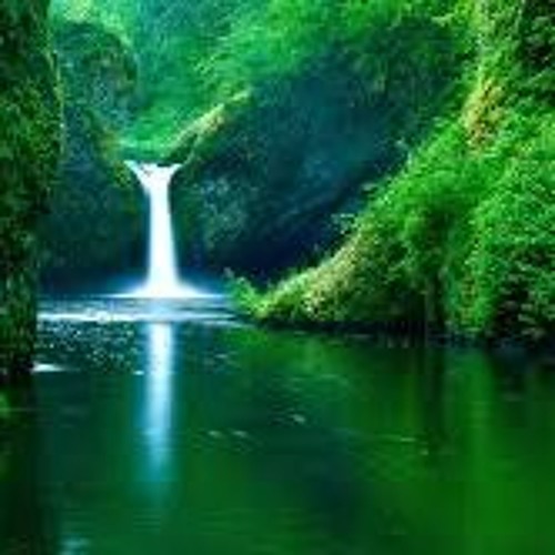 Stream Relaxing Forest Sounds Of Nature -Soothing Natural Sounds for ... Stream Relaxing Forest Sounds Of Nature -Soothing Natural Sounds for ...