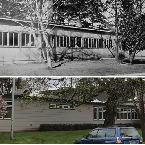 Stream episode Charles Jordan Community Center's Butternut Tree by ...