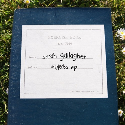 Stream Warning Sign by Sarah Gallagher | Listen online for free on ...