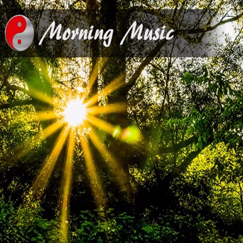 Stream Morning Music For Positive Energy by Denis Doc | Listen online ...