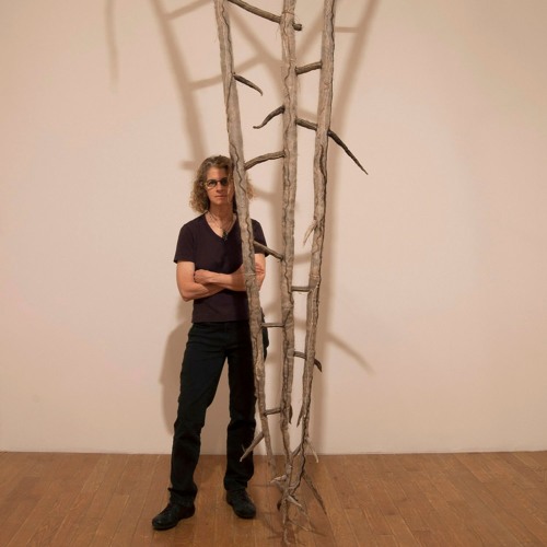 Stream episode Arts In: Babs Reingold by Creative Pinellas podcast ...