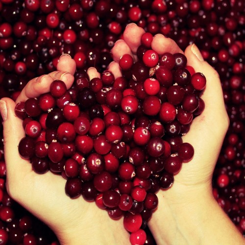 Stream Happy eid to you **عيد لذيذ عليكوا كلكوااا** by Amy Ramzy ...