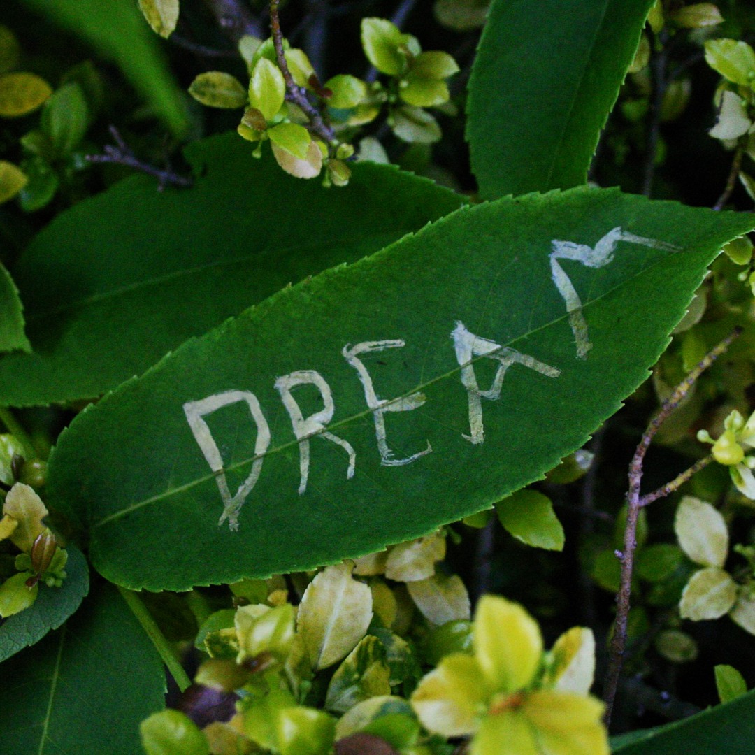 Stream arcade dance party by old CLDR | Listen online for free on ...