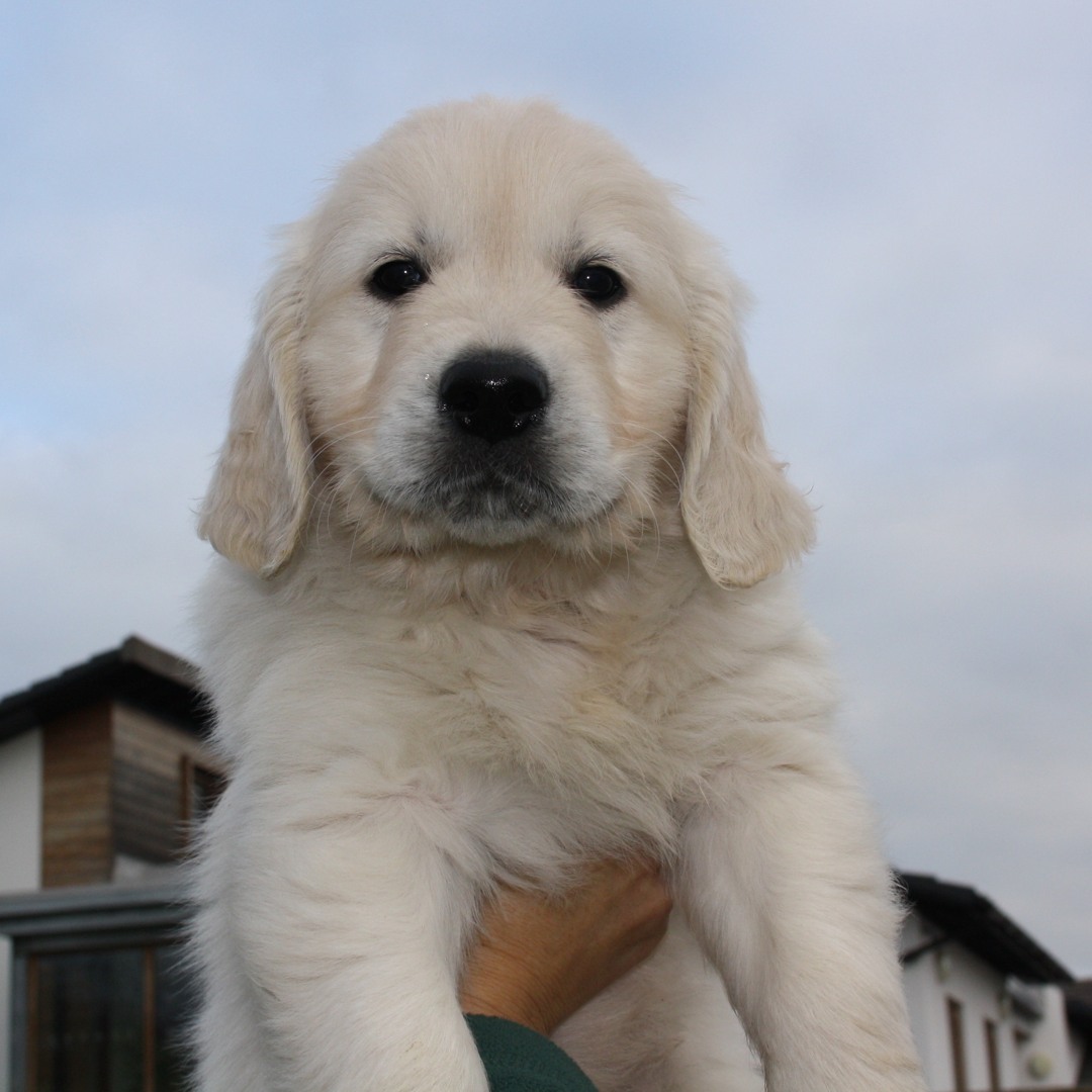 Stream High Jump by Chairman Runks | Listen online for free on SoundCloud