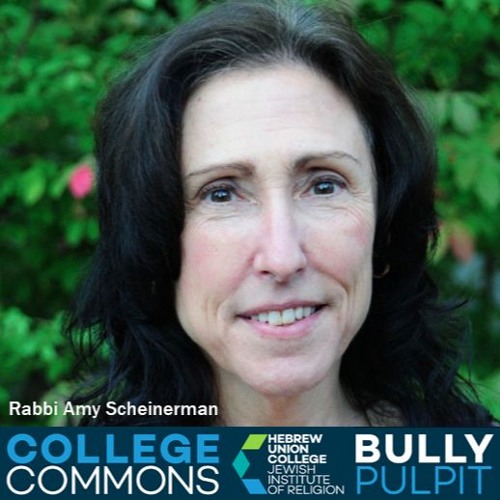 Stream Rabbi Amy Scheinerman: Hospice, Interfaith and Halakha by ...