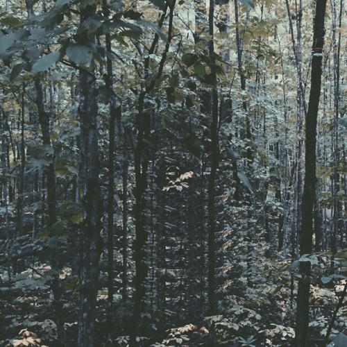 Stream Helios - Grand Ronde by Keith Kenniff | Listen online for free ...