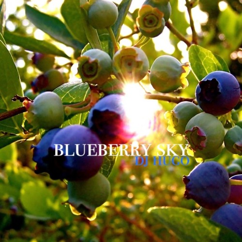 Stream Blueberry Sky by DJ HUGO | Listen online for free on SoundCloud