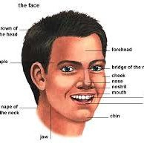 Stream Cheek (n) the soft part of your face that is below your eye and ...