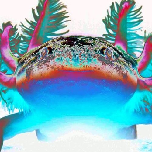 Stream Axolotl Sound SystemEP2017 - demo 103 by Axolotl_SSystem ...