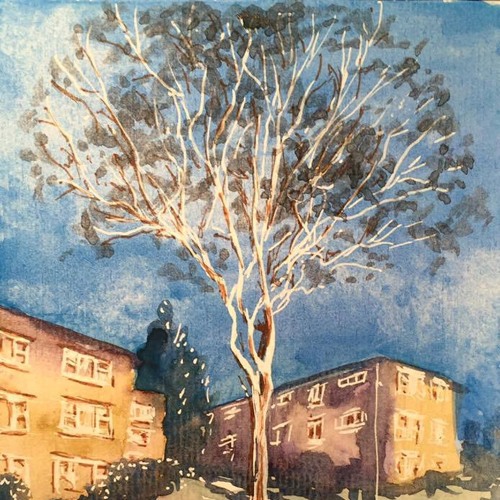 Stream The Half Hour Hoot_Special program - The Maida Road Tree Epping ...