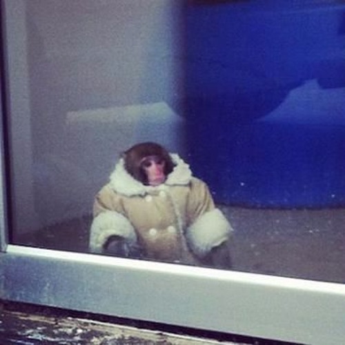 Stream Music from Lost Monkeys Act 1 by Mig Artugue | Listen online for free on SoundCloud