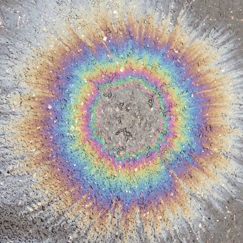 Stream Ecstasy by Specimen Integrity | Listen online for free on SoundCloud