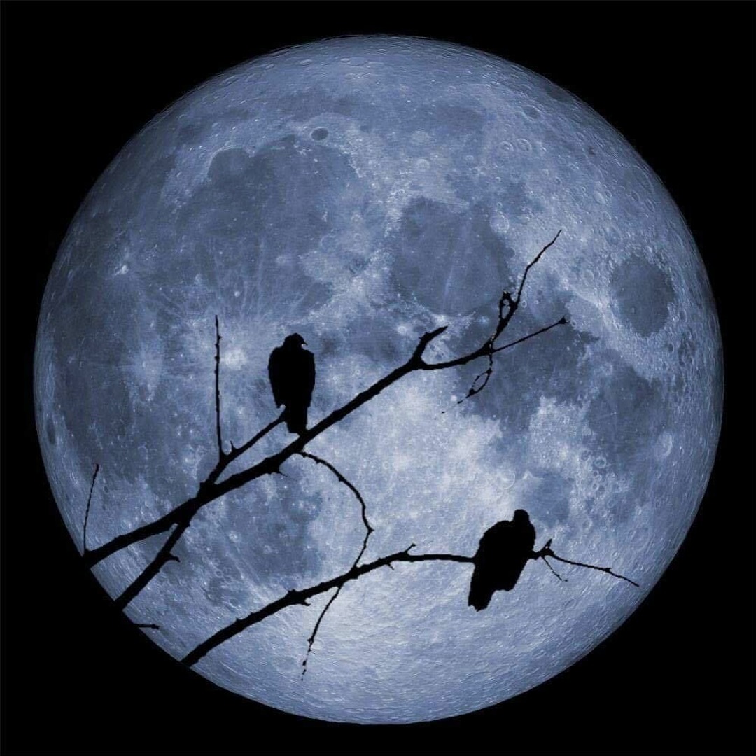Stream Amir X Mark Brenton - Blue Moon (Original Mix) [Free Download ...