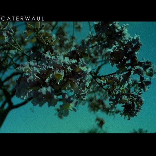 Stream Caterwaul by Caterwall | Listen online for free on SoundCloud