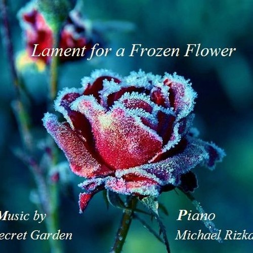 Stream Lament For A Frozen flower cover - Michael Rizkalla by MICHAEL ...