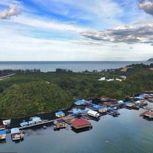 Stream Putih Kuning Bunga Cempaka by TAMBU_MERI WEST PAPUA | Listen ...