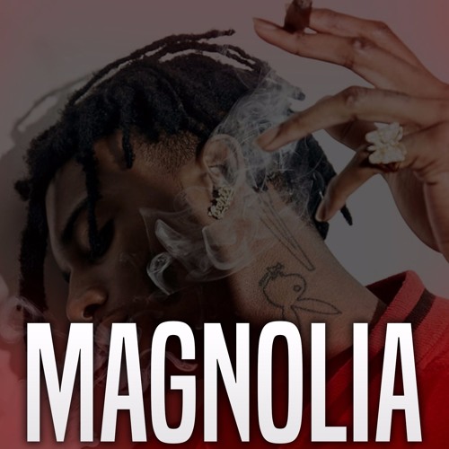 Stream Playboi Carti - "Magnolia" Instrumental (Prod. Digital Mafia) by ...