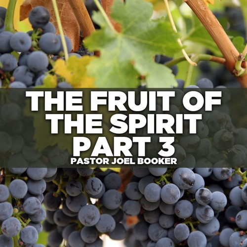 Stream Pastor Joel Booker - 2017.7.2 Sun AM Teaching - The Fruit of the ...