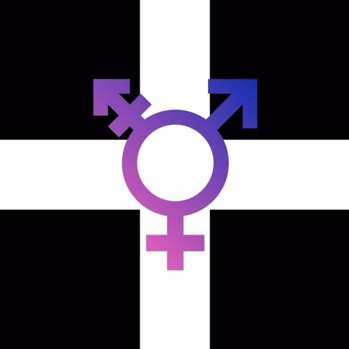 Stream episode Old Transgender Show by TRANSform Cornwall podcast ...