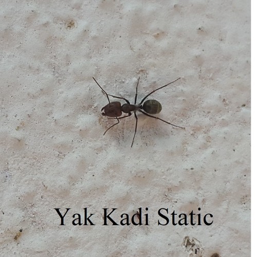 Stream Yak Kadi Static by Sithum Fernando | Listen online for free on ...