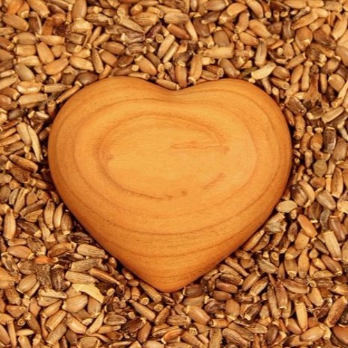 Stream Blanket Of Love (ft Steve Collom) by Amanda Jane West | Listen ...