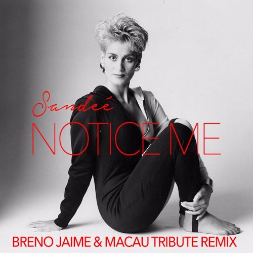 Stream Sandeé - Notice Me (Breno Jaime & Macau Tribute Remix) by DJ ...