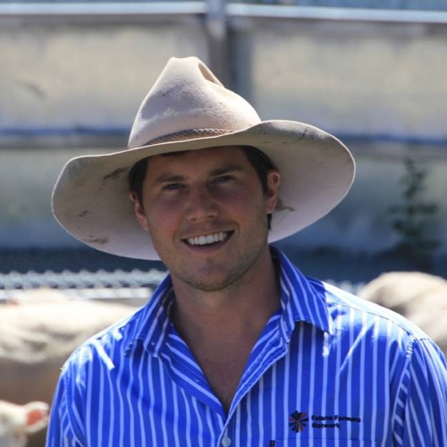 Stream Spaceship farms in China: podcast with Toby Locke, Future ...