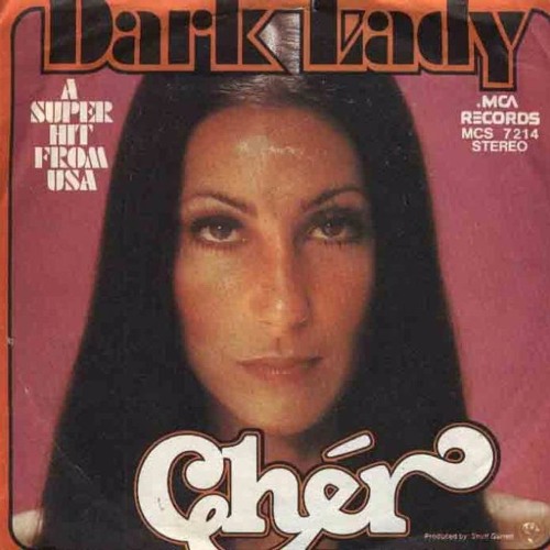 Stream Never really cared for Cher by Kristina's Fat Elvis Phase ...