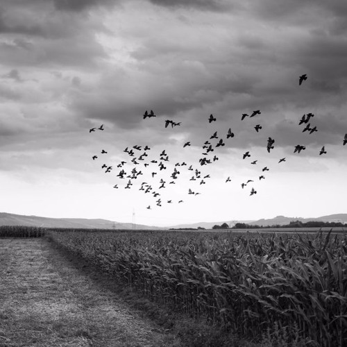 Stream Ei Meghla Dine Ekla+Ekla Akash+Akash Eto Meghla - Mashup By Mehedi by Mehedi | Listen ...