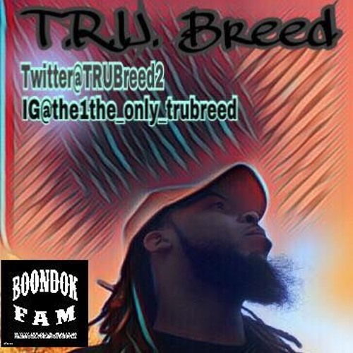 Stream Finesse (Explicit) by TRU Breed | Listen online for free on ...