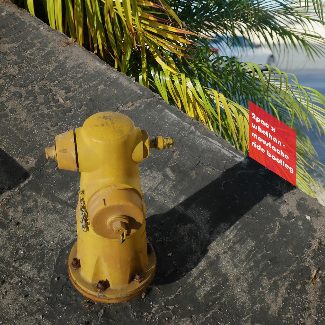 Stream All You Ever Talk About - 2Pac x Whethan (Moustache Ride Bootleg ...