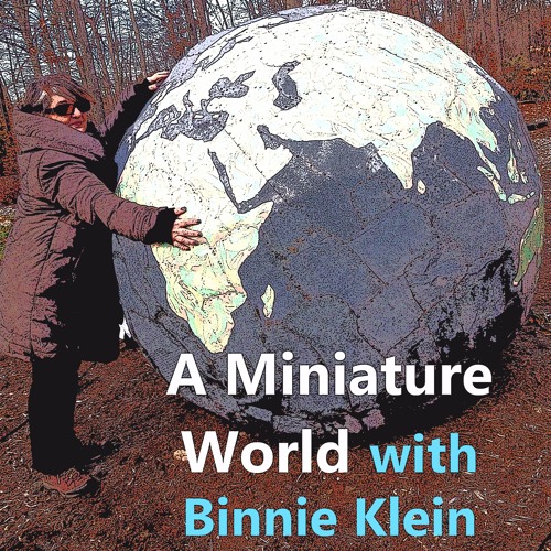 Stream episode A Miniature World - Binnie Klein with Author Danny ...