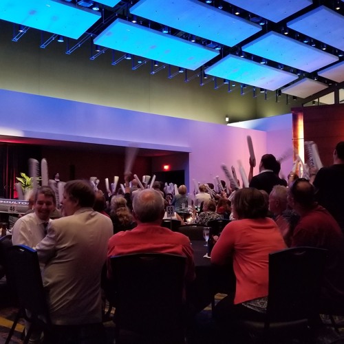 Stream 20170727 Ann Pritchard IDP Hall Of Fame Speech by iowanews1 ...