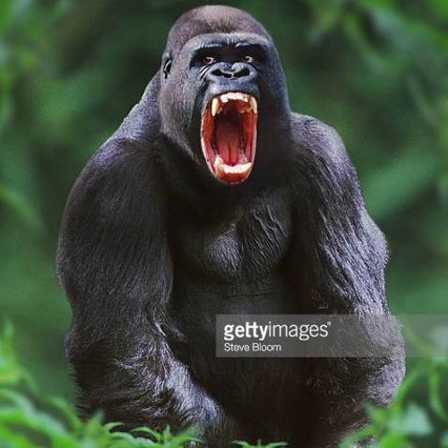 Stream Karbon X Karbonankh | Listen to Brotha SHAWT playlist online for ...