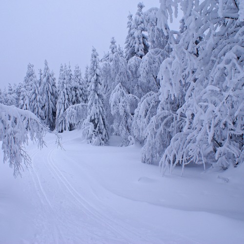 Stream Beautiful Blizzard by GrandpaSoul | Listen online for free on SoundCloud