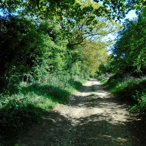 Stream Glynn Burrows: Walking the Roman Roads of England by Big Blend ...