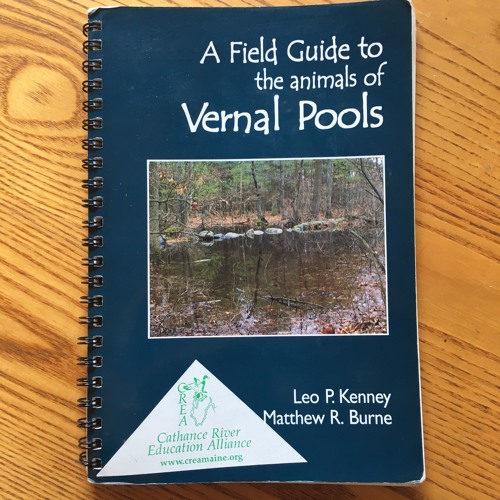 Stream "The Importance of Vernal Pools" by CREA Sounds | Listen online ...