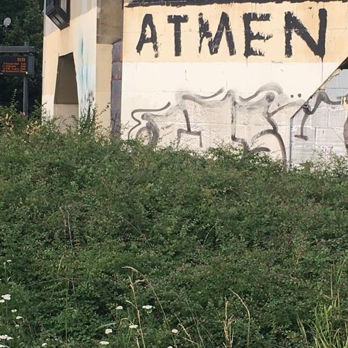 Stream Get memed or die unnoticed by Vincent Neumann | Listen online ...
