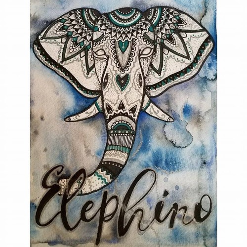 Stream Elephino Live at Fiddlers Picnic 7.29.17 by Rochester Groovecast ...