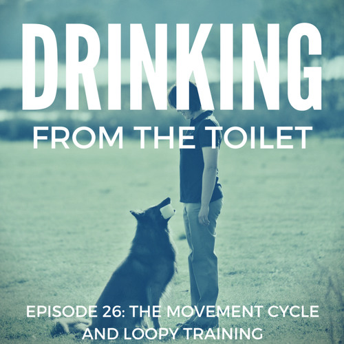 Stream #26: The movement cycle and loopy training by Drinking from the ...