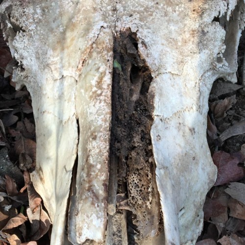 Stream Ubu Boi - Sand. (Avbvrn Remix) by ⊶ 𝖀𝖇𝖚 𝕭𝖔𝖎 ⊶ | Listen online ...