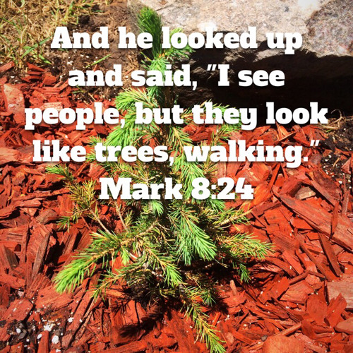 Stream Mark 8:22-26 - Jesus Heals A Blind Man by The Other Spurgeon ...