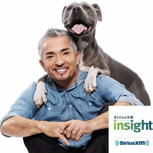 Listen to playlists featuring Cesar Millan Explains The Genesis Of His ... Listen to playlists featuring Cesar Millan Explains The Genesis Of His ...