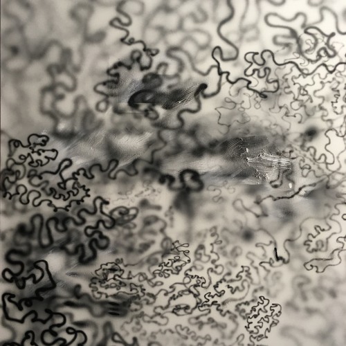 Stream Setback (Victim) by Rick Farin | Listen online for free on ...