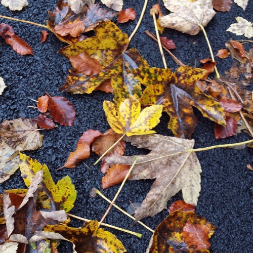 Stream Les Kay - Slow Kiss (intro) by Les Kay | Listen online for free ...