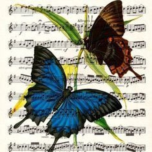 Stream Butterflies By Megan Slone Music (NEW) by Megan Slone | Listen ...