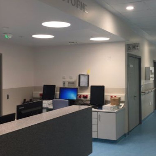 Stream INMO's Mary Fogarty On Concerns Over Overcrowding At UHL by ...